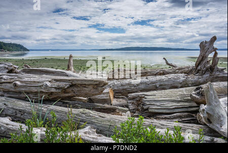 A landscape shot of the Puget Sound at low tide Stock Photo - Alamy