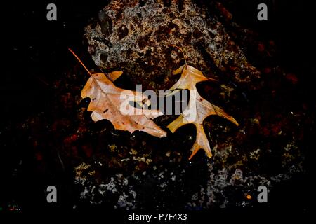 Beautiful days, wonderful nights Stock Photo - Alamy