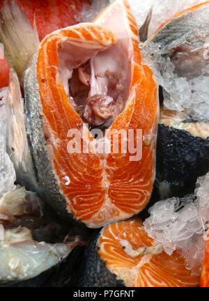 Raw salmon steaks Stock Photo - Alamy