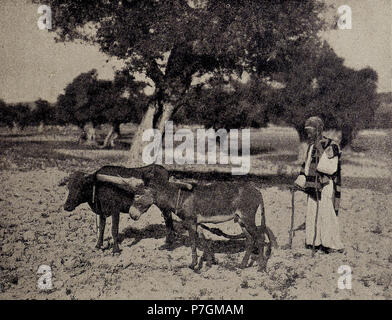 Pilgrimage to Palestine 19 (117 Stock Photo - Alamy