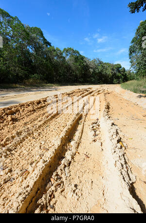 Muddy and rutted dirt road to Chilli Beach, Cape York Peninsula, Far ...