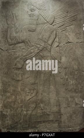 Assyrian winged genie. Assyrian relief from the Northwest Palace of ...