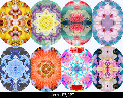 Composing flowers into a mandala ornament Stock Photo - Alamy