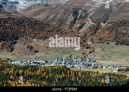 Autumn forest in Switzerland Stock Photo - Alamy