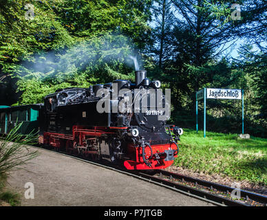 The Raging Roland, narrow-gauge railway, on Ruegen, Mecklenburg ...