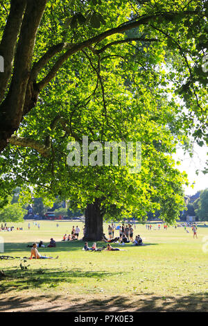 Popular Peckham Rye Common on a sunny, summer's day, in Southwark in ...