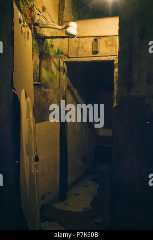 Electric shower in a decayed bathroom. No people Stock Photo - Alamy