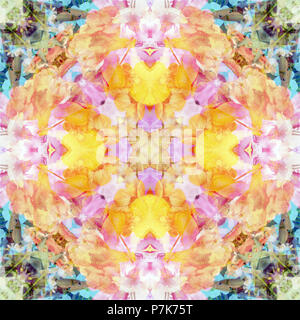 Composing flowers into a mandala ornament Stock Photo - Alamy