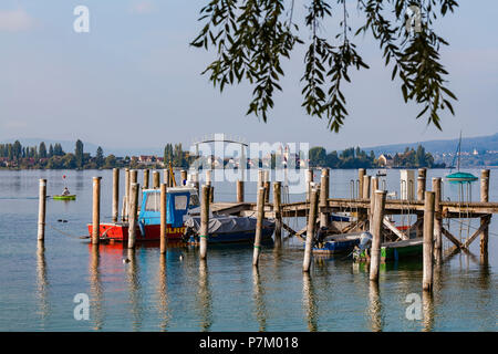 Germany, Baden-Wuerttemberg, Reichenau Island, wooden boardwalk at ...