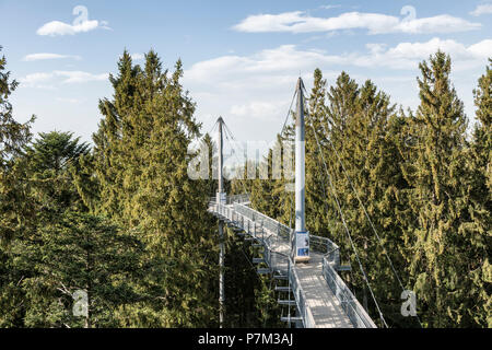 Scheidegg, Bavaria, Germany, The Baumwipfelpfad Skywalk with adventure ...