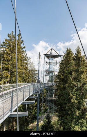 Scheidegg, Bavaria, Germany, The Baumwipfelpfad Skywalk with adventure ...