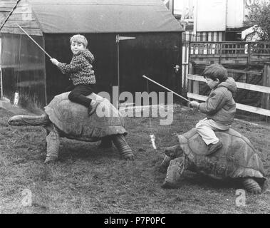 children riding giant tortoises Stock Photo - Alamy