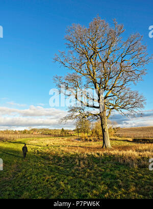 Countryside scenes at Burghill, a village in Herefordshire, England ...