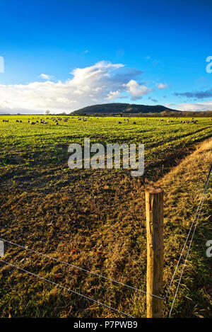 Countryside scenes at Burghill, a village in Herefordshire, England ...