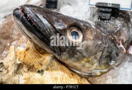Fresh hake for sale on London fish market Stock Photo - Alamy