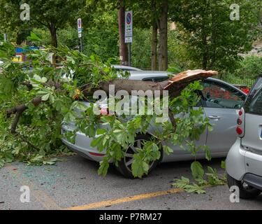 car ruined by the fall of a tree branch Stock Photo - Alamy