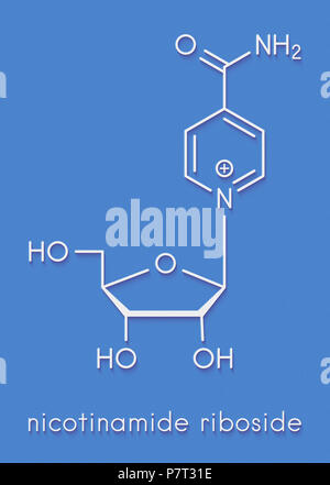 Nicotinamide mononucleotide molecule. Precursor of NAD+. Skeletal ...