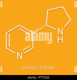 Nornicotine alkaloid molecule. Related to nicotine and also found in ...