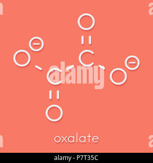 Oxalate anion, chemical structure. Oxalate salts can form kidney stones ...