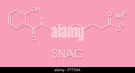 Sodium salcaprozate (SNAC, sodium N-[8-(2-hydroxybenzoyl)amino] Stock ...