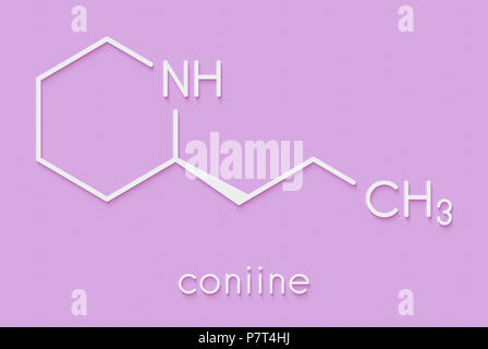 Coniine herbal toxin molecule. Present in poison hemlock (Conium ...