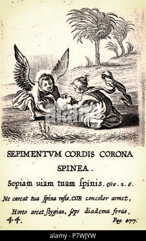 44. Sepimentum Cordis Corona Spinea Stock Photo - Alamy