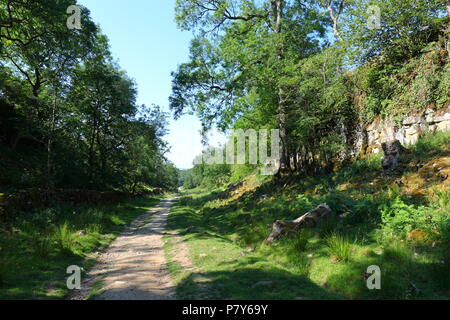 Trow Gill Gorge at the foot of Ingleborough Mountain in the Yorkshire ...