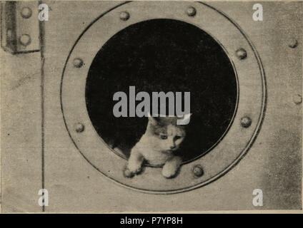 Kitty Bims a member of the expedition of the icebreaker Sibiryakov 1932 ...