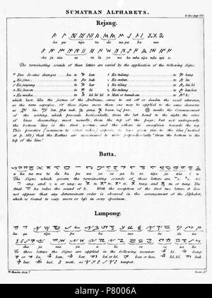 Deutsch: William Marsden: The History of Sumatra. Tafel XXI: The Pepper ...