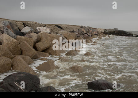 Orford ness spit with groynes on the beach near Aldeburgh Suffolk ...