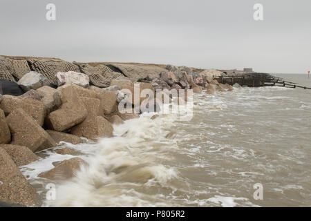 Orford ness spit with groynes on the beach near Aldeburgh Suffolk ...