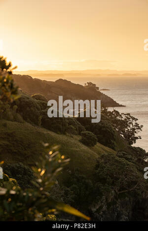 Tiritiri Matangi island bird sanctuary North island New Zealand Stock ...