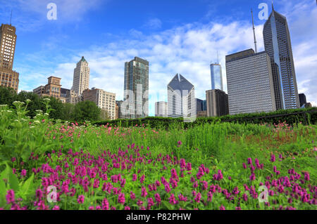 The Chicago skyline from Lurie Garden Stock Photo - Alamy