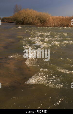 High tide in NP de Biesbosch Netherlands, Hoogwater in NP de Biesbosch ...