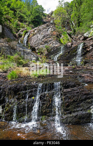 Waterfall at Rhiwargor Lake Vyrnwy Stock Photo - Alamy