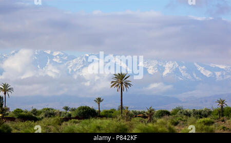 Atlas gebergte, Atlas Mountains Stock Photo - Alamy