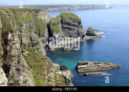 Anglesey Coastline near South Stack RSPB Nature Reserve Stock Photo - Alamy