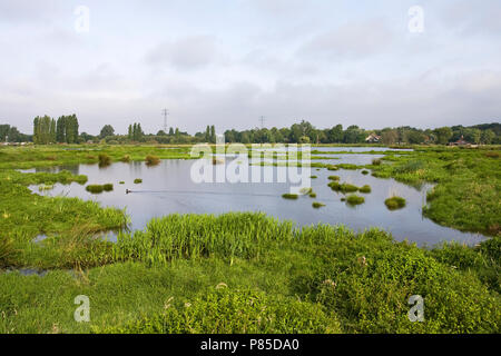 Natuurontwikkeling in Polder Poelgeest; Nature development in Polder ...