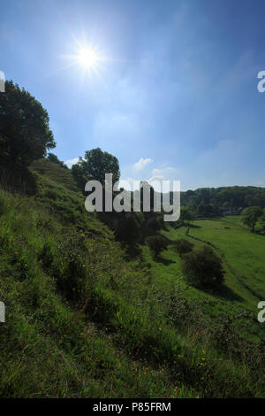 Natuurgebied de Bemelerberg, Nature reserve the Bemelerberg Stock Photo ...