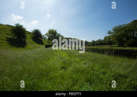 Natuurgebied de Bemelerberg, Nature reserve the Bemelerberg Stock Photo ...
