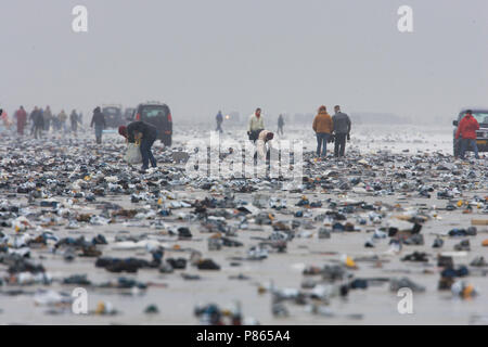 People collecting cargo spill on the beach; Strandjutters Terschelling ...
