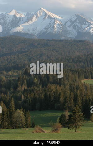 Tatra gebergte, Tatra Mountains Stock Photo - Alamy