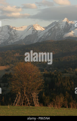 Tatra gebergte, Tatra Mountains Stock Photo - Alamy