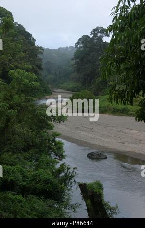 Rivier door Danum; River through Danum Valley Stock Photo - Alamy