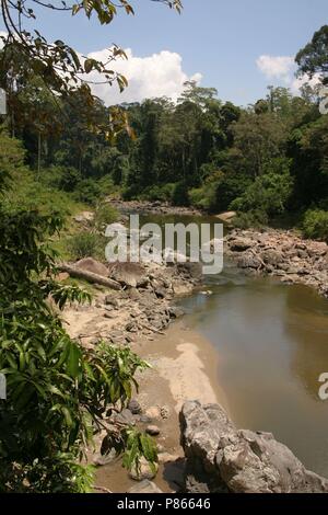 Rivier door Danum; River through Danum Valley Stock Photo - Alamy