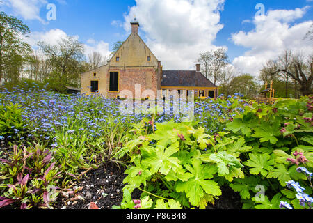 Dekema State met bloeiende Vergeet-mij-nietje, Dekema State with ...