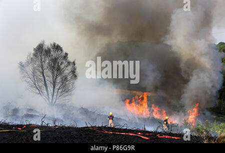Poole, UK. 9th July, 2018. Dorset Fire and Rescue battle a blaze on ...