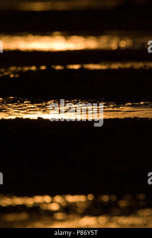 Pack-ice for the coast of Hokkaido Japan at suset, Japan, Hokkaido ...