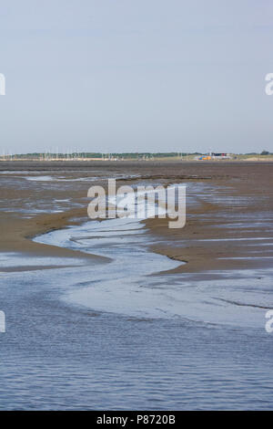Waddenzee bij Schiermonnikoog; Wadden Sea at Schiermonnikoog Stock ...