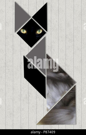 Figure with cat shape created with the game pieces Tangram Stock Photo ...